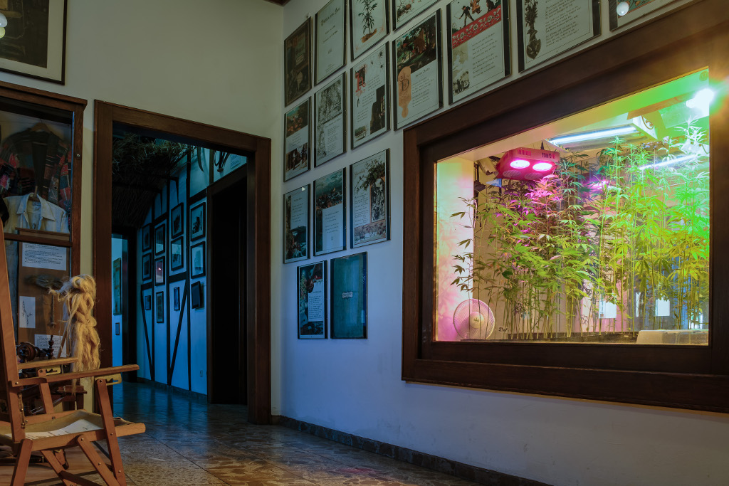 Hanf Museum in Berlin - Hanf braucht eine Lobby - Hanflobby